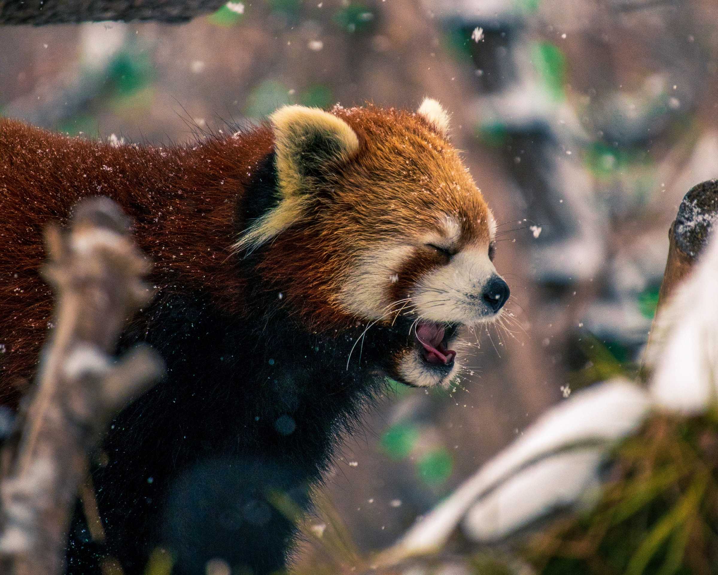 Python pandas 데이터 병합, 정제, 변형하는 법 - Snug Archive