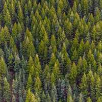 STS 4/STS 3 설치 및 환경 설정하기 - Snug Archive