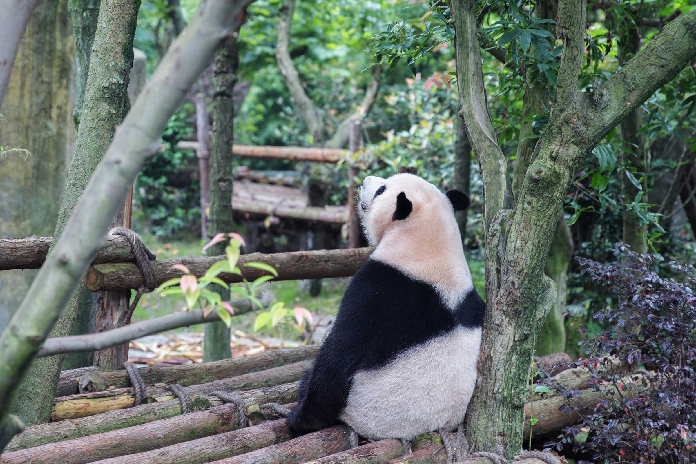 Python pandas 데이터 확인, 정렬, 선택하는 법 - Snug Archive